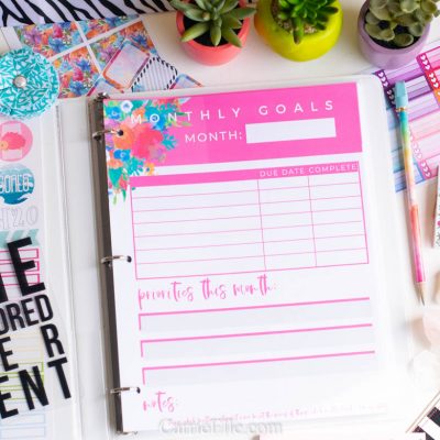 Goals Tracker Printable for February - Carrie Elle